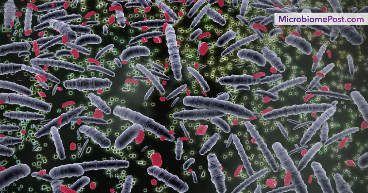 More than 150,000 genomes added to the catalogue of bacteria in the ...