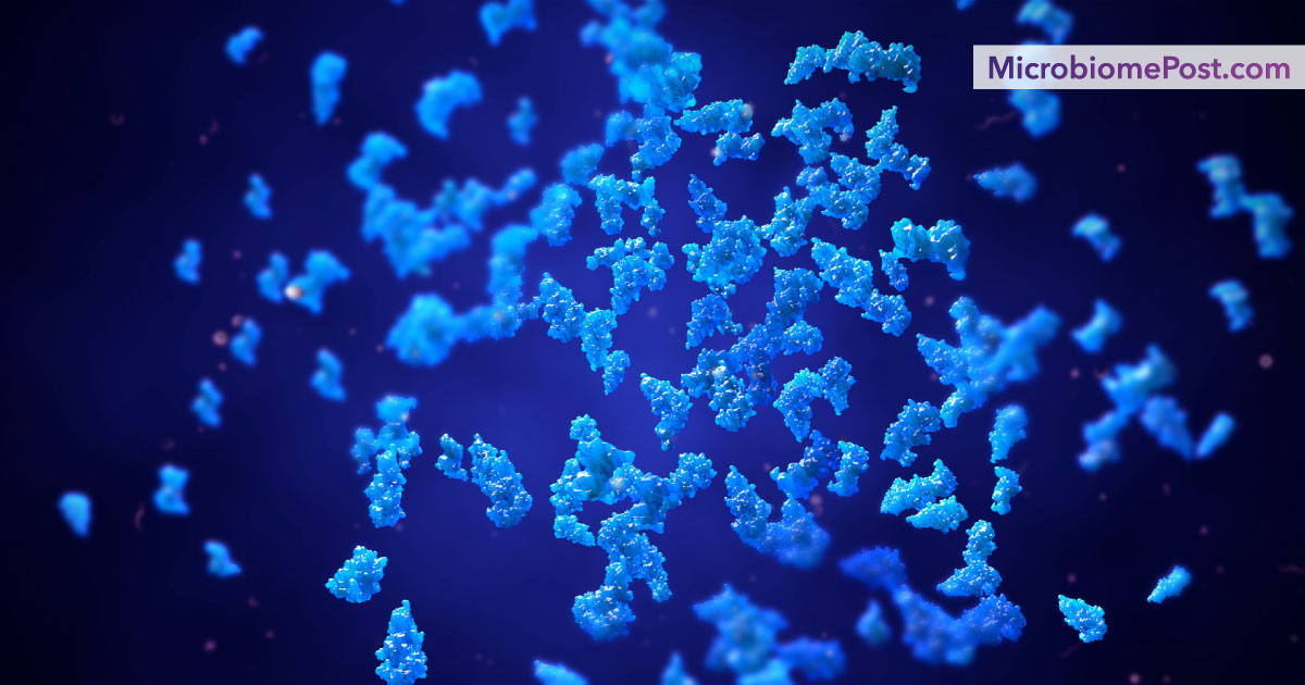 Scientists find new small proteins produced by the human microbiota