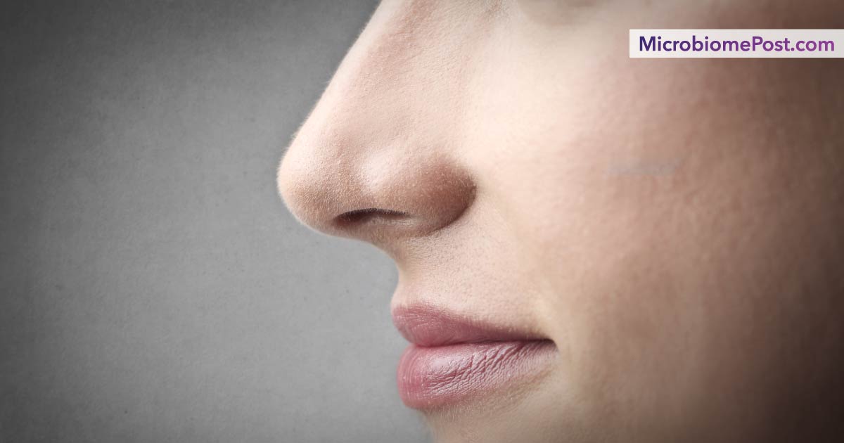 Nose-dwelling bacterium contributes to a healthy nasal microbiota