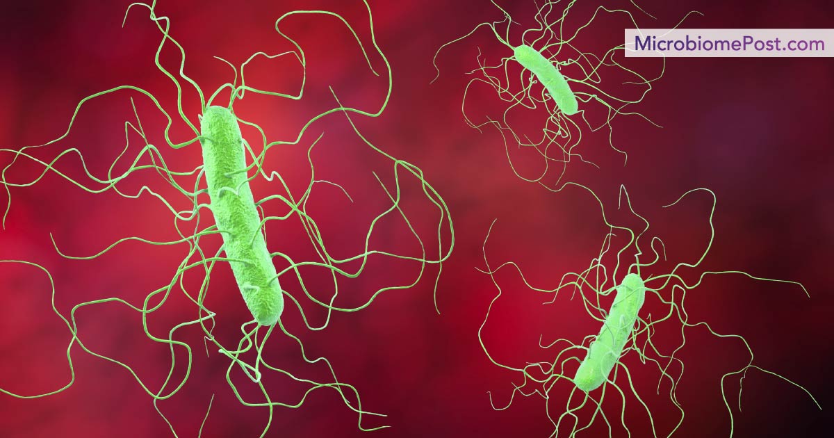 Fecal transplant successfully treat patients with C. diff, UK’s largest ...