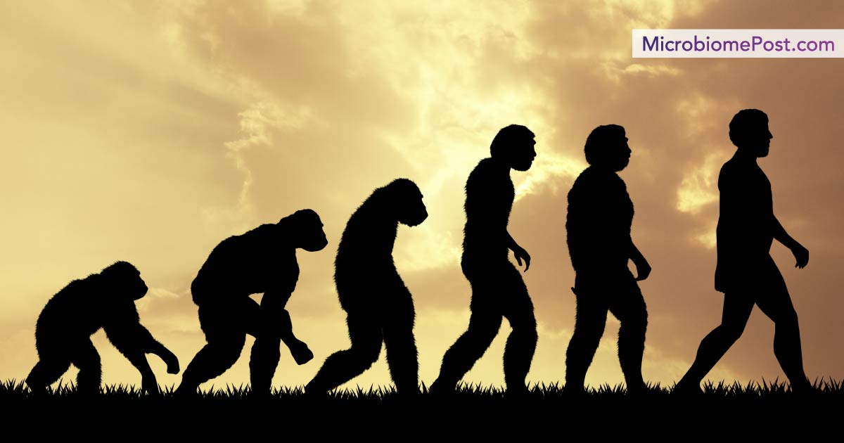 Microbes might have influenced social behavior and community trends