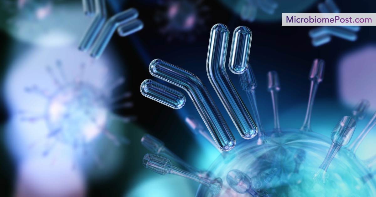 How the microbiota shapes the development of the immune system