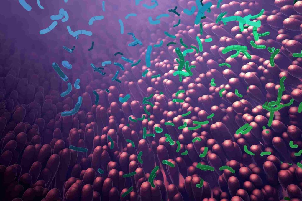 A-Mansia Biotech’s pasteurised Akkermansia muciniphila is the first ...