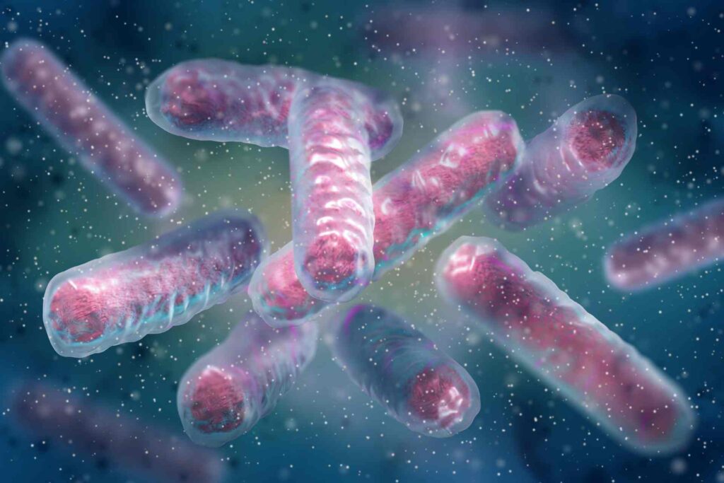 Recurrent infections and estrogen can shape the urogenital microbiota