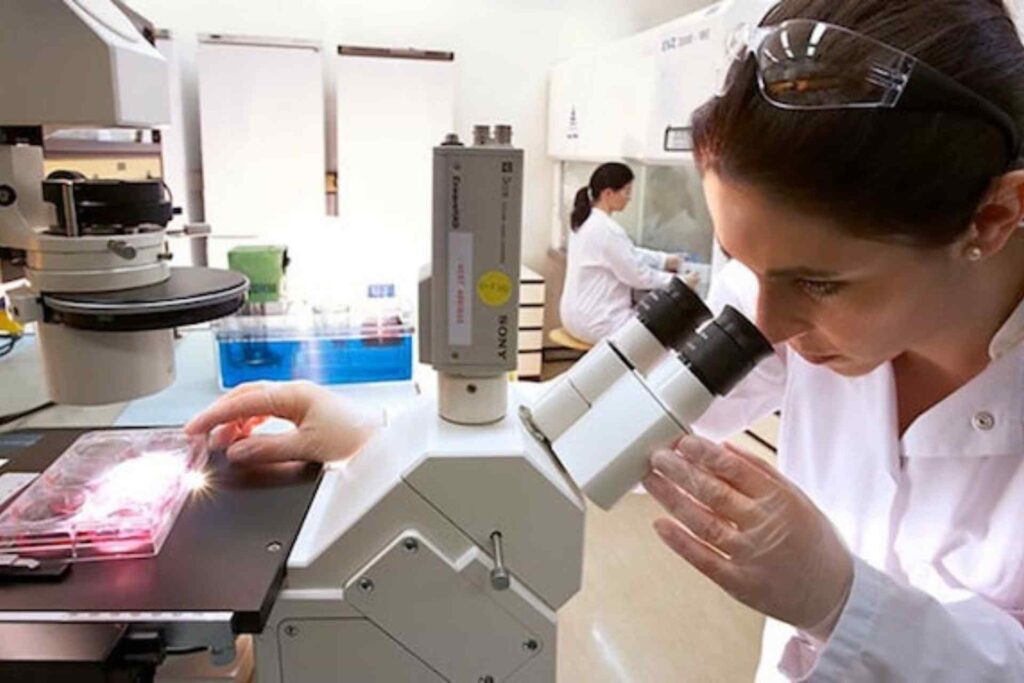 Nestlé's innovation: elevating infant nutrition with HMOs and probiotic ...