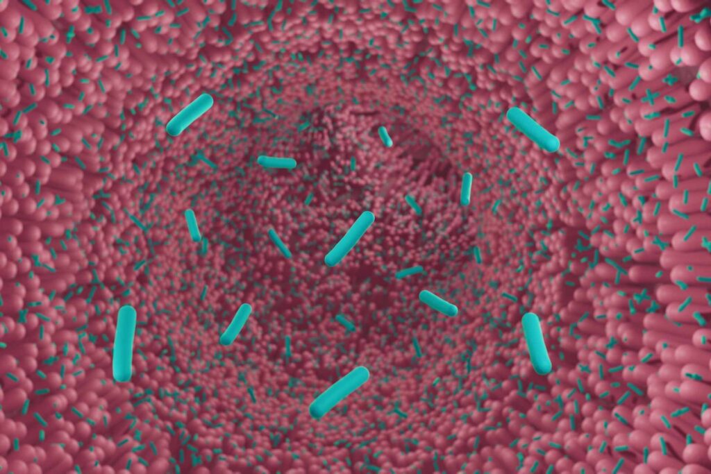 How gut bacteria can help relieve constipation