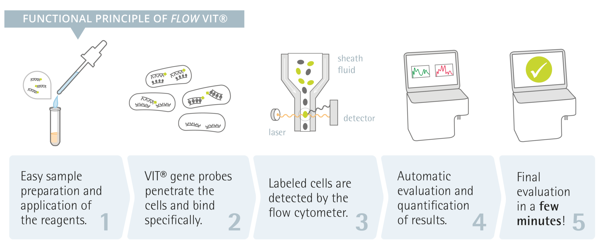 Flow-FISH: A Breakthrough in Probiotic Quality Control - MicrobiomePost