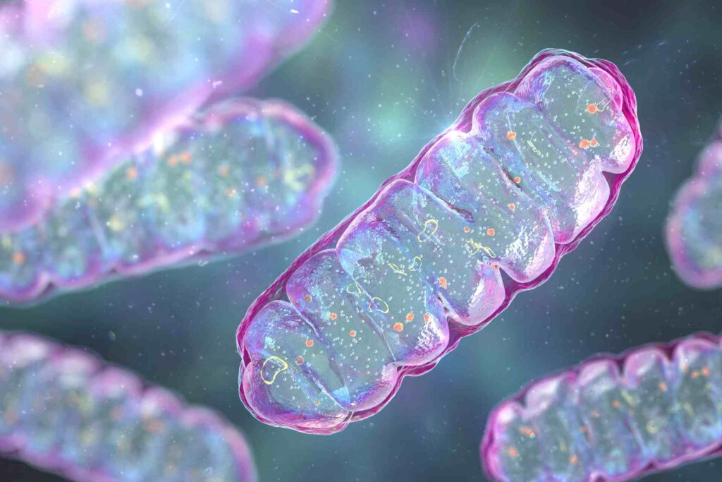 Cutaneous and intestinal dysbiosis cause skin inflammatory diseases
