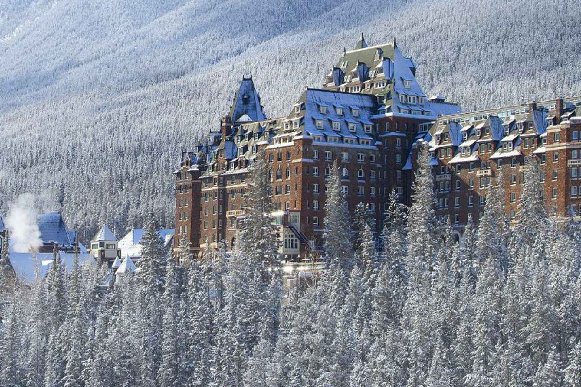 Host-microbiome co-evolution in human health: the microbiome-pathobiont ...