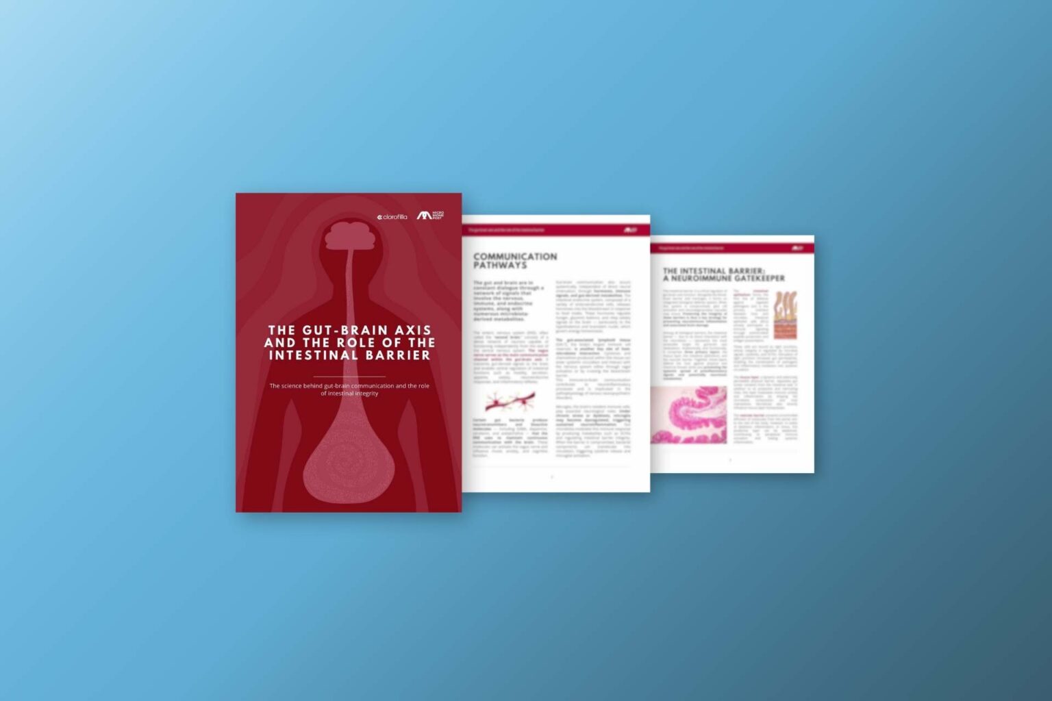 Biofarma Srl - MicrobiomePost