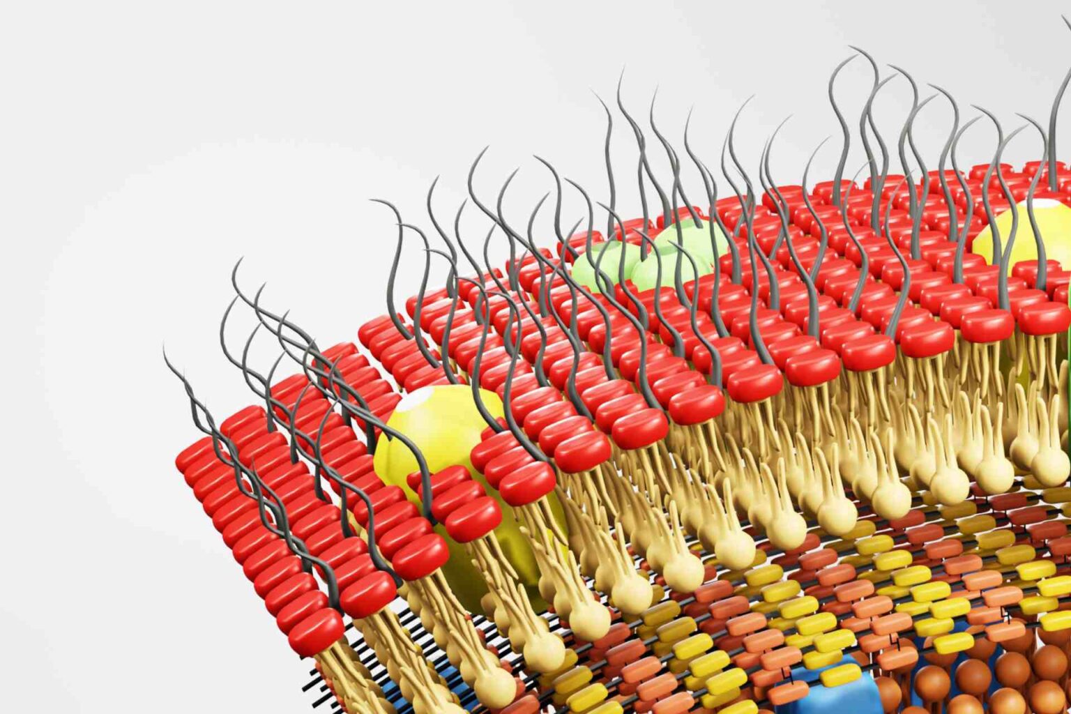 Novonesis: a new dawn for global biosolutions