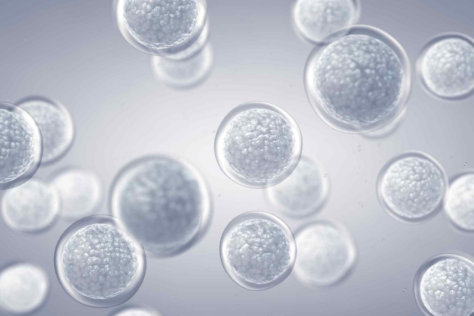 Lactiplantibacillus plantarum 299v (LP299V®) (DSM 9843) - MicrobiomePost