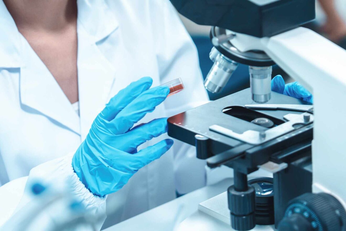 Novonesis: a new dawn for global biosolutions